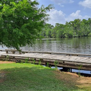 Fairview Riverside State Park - Madisonville, Louisiana - RV LIFE ...